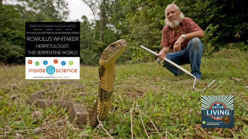 #362 Serpentine World Romulus Whitaker - The Not Old - Better Show