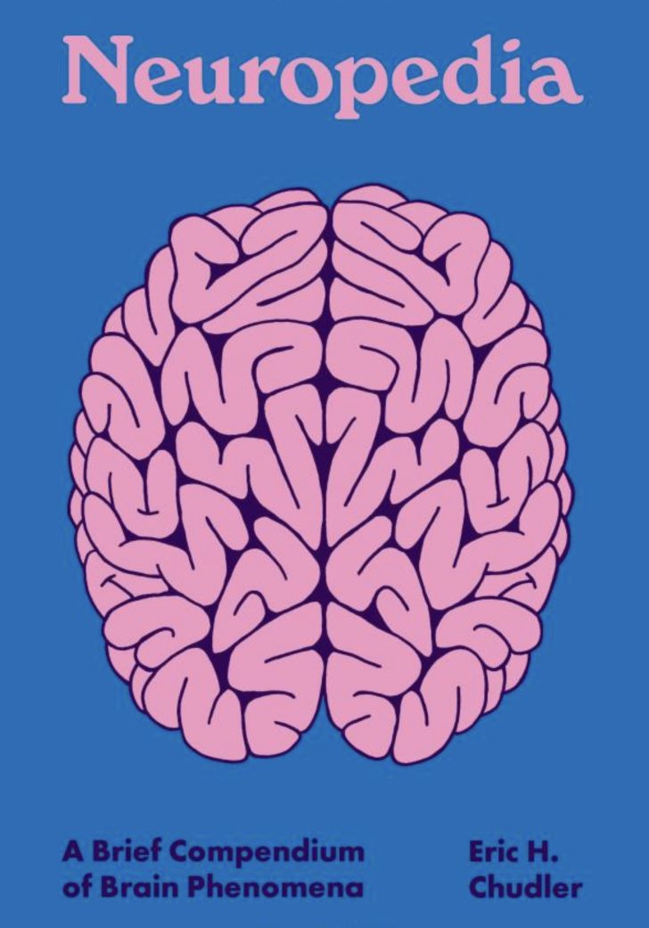 A Journey Into The Brain - Dr. Eric Chudler - The Not Old - Better Show